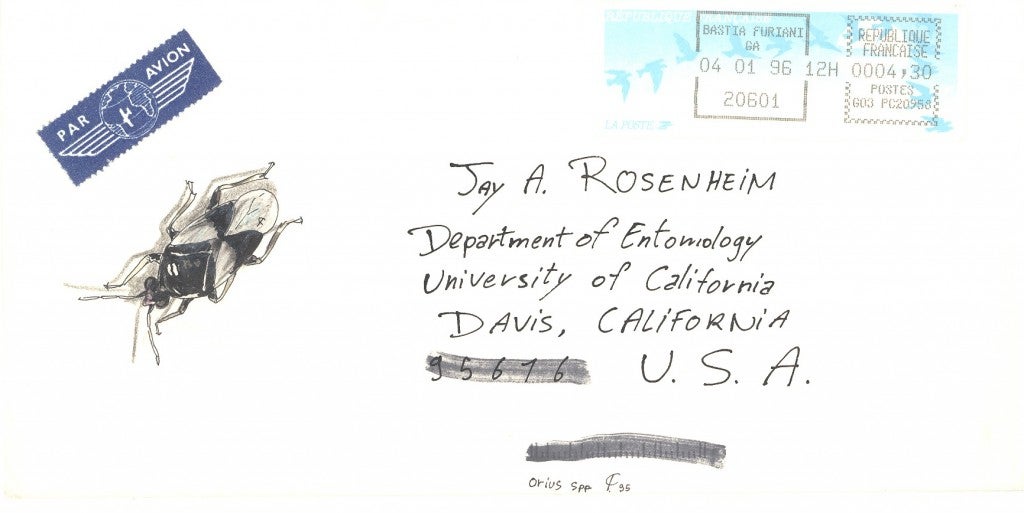 Rosenheim Lab – ecology, evolution, and agriculture